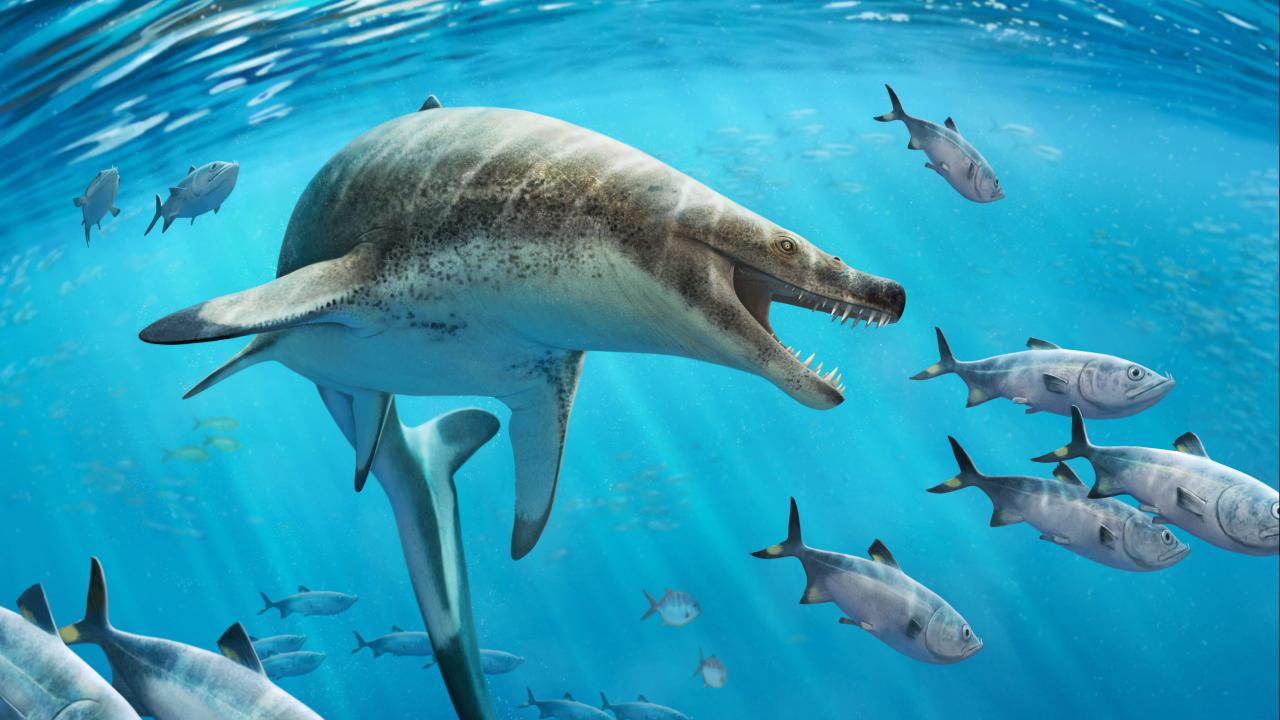 Dinozor çağında yaşamış "korkunç yüzlü" dev deniz kertenkelesi türü ...